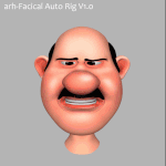 Facial Auto Rig