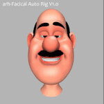 Facial Auto Rig