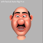 Facial Auto Rig